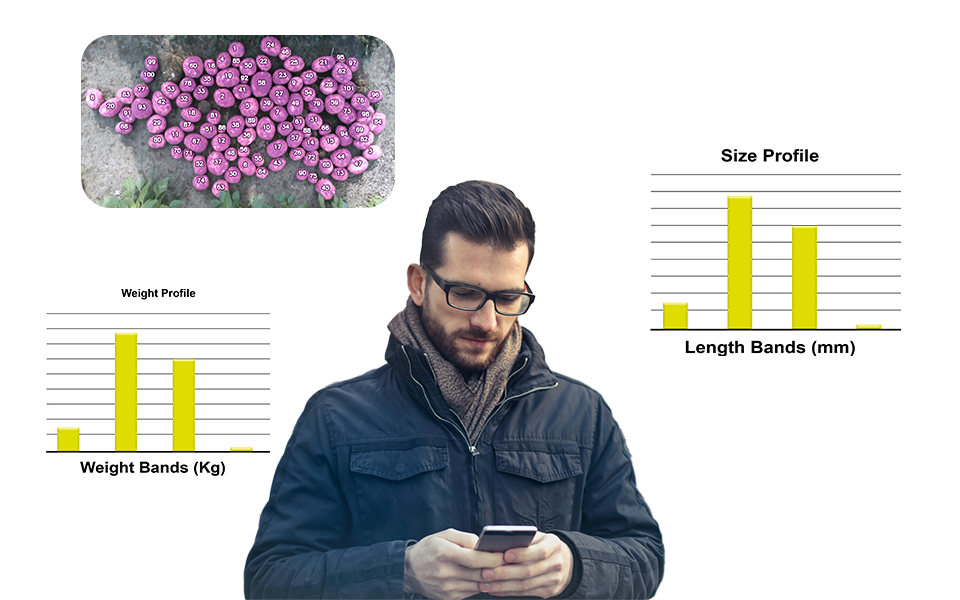 HarvestEye Handheld: Portable AI Crop Sampling in 30-60 Seconds